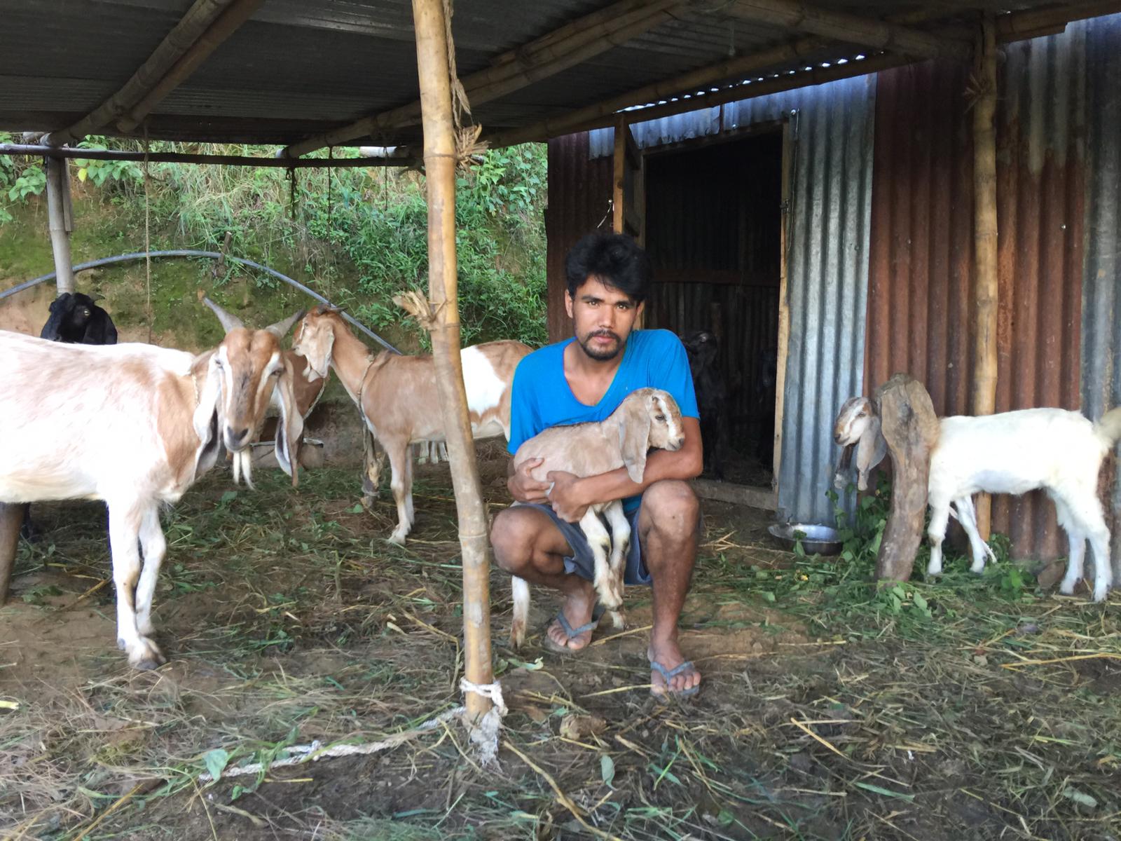 Animal Husbandry Initiative in Cambodia